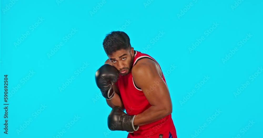 Face, boxer and man challenge in studio isolated on a blue background ...