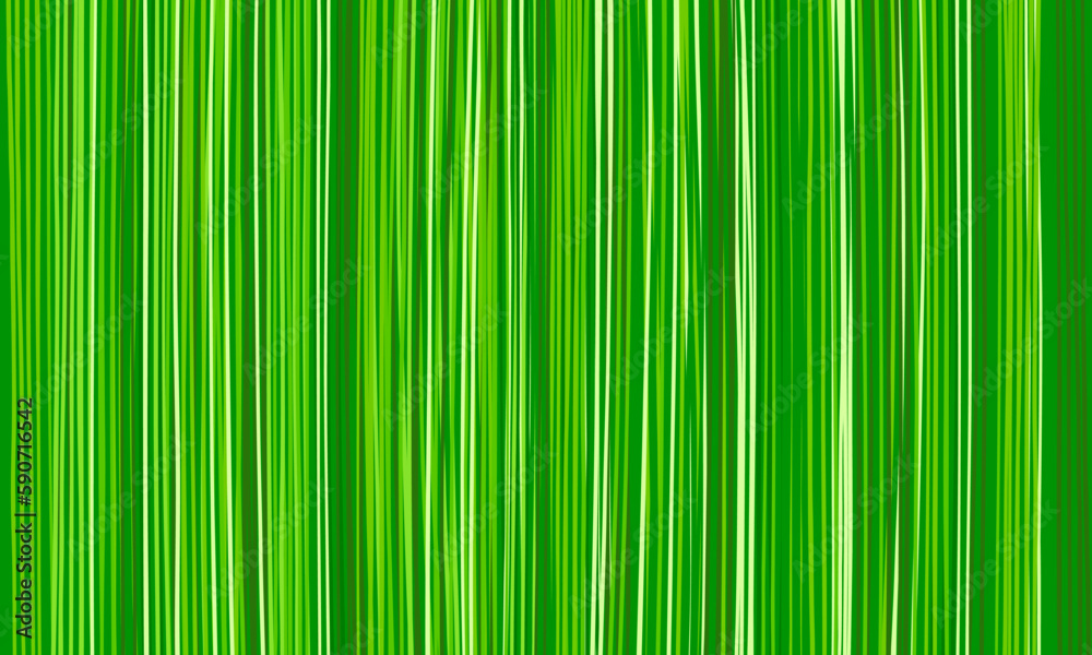Grass background. Nature green texture from long vertical blades of ...