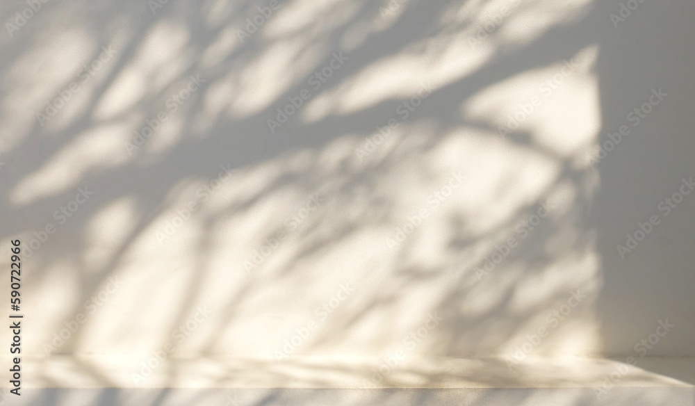 Tree shadow on concrete wall texture background for product display ...