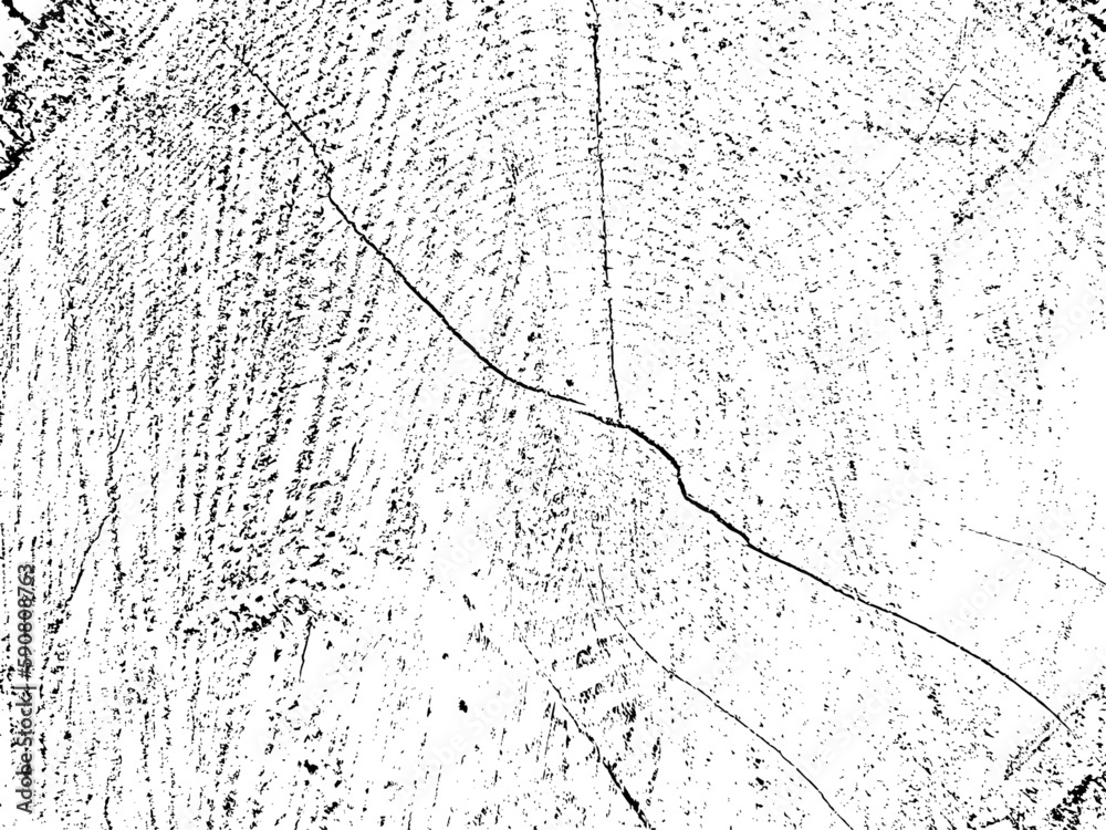 Organic pine tree cross-section grunge texture with cracks on ...
