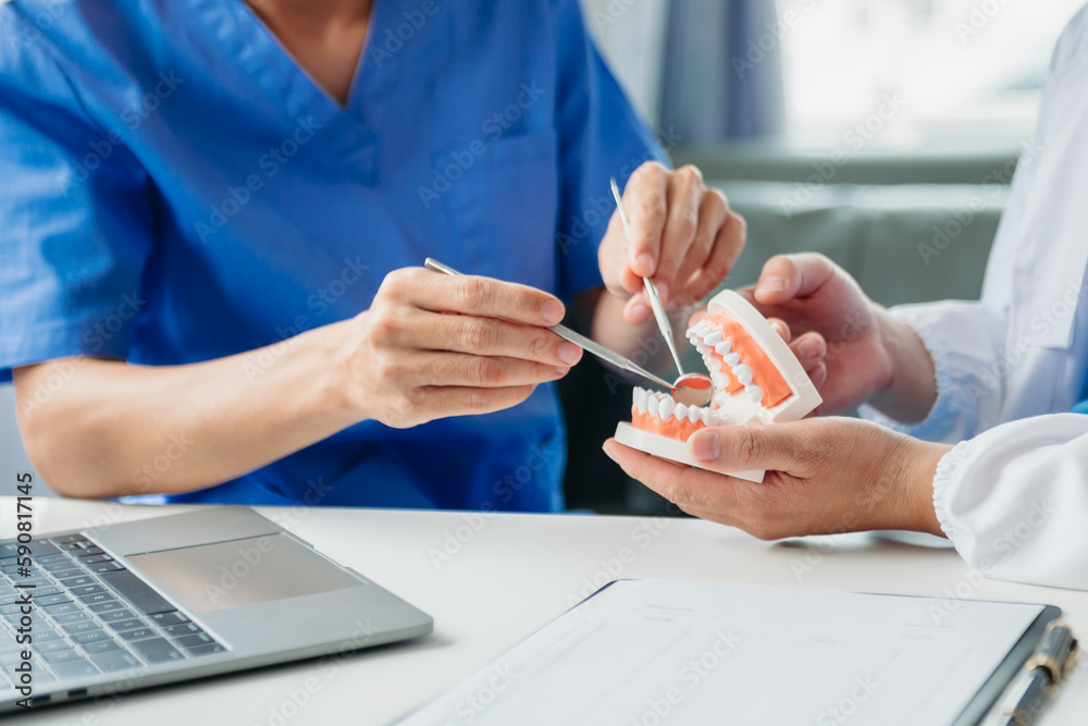 Dentist sitting at table with jaw samples tooth model and working with ...
