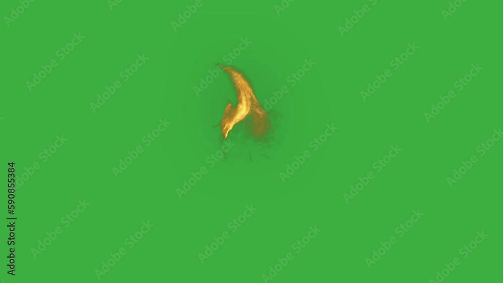 Vidéo Stock Green screen chroma key animation video real fire element ...