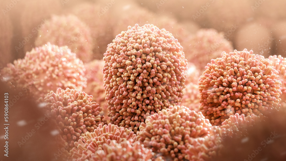 Intestinal villus close-up under a microscope. The inner wall of the ...