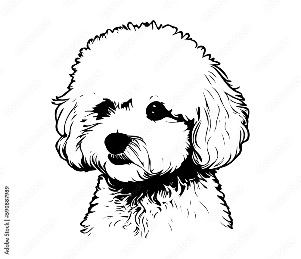 Bichon Frise, Silhouettes Dog Face SVG, black and white Bichon Frise ...