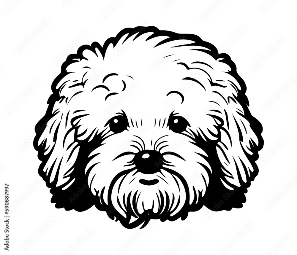 Bichon Frise, Silhouettes Dog Face SVG, black and white Bichon Frise ...