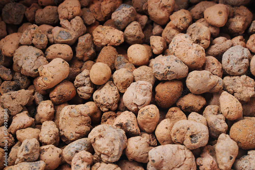 Expanded clay. small lumps of clay used in construction and for growing ...