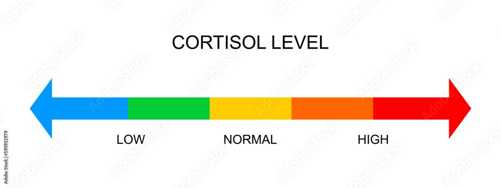 Cortisol meter horizontal scale. Body stress response levels chart from ...