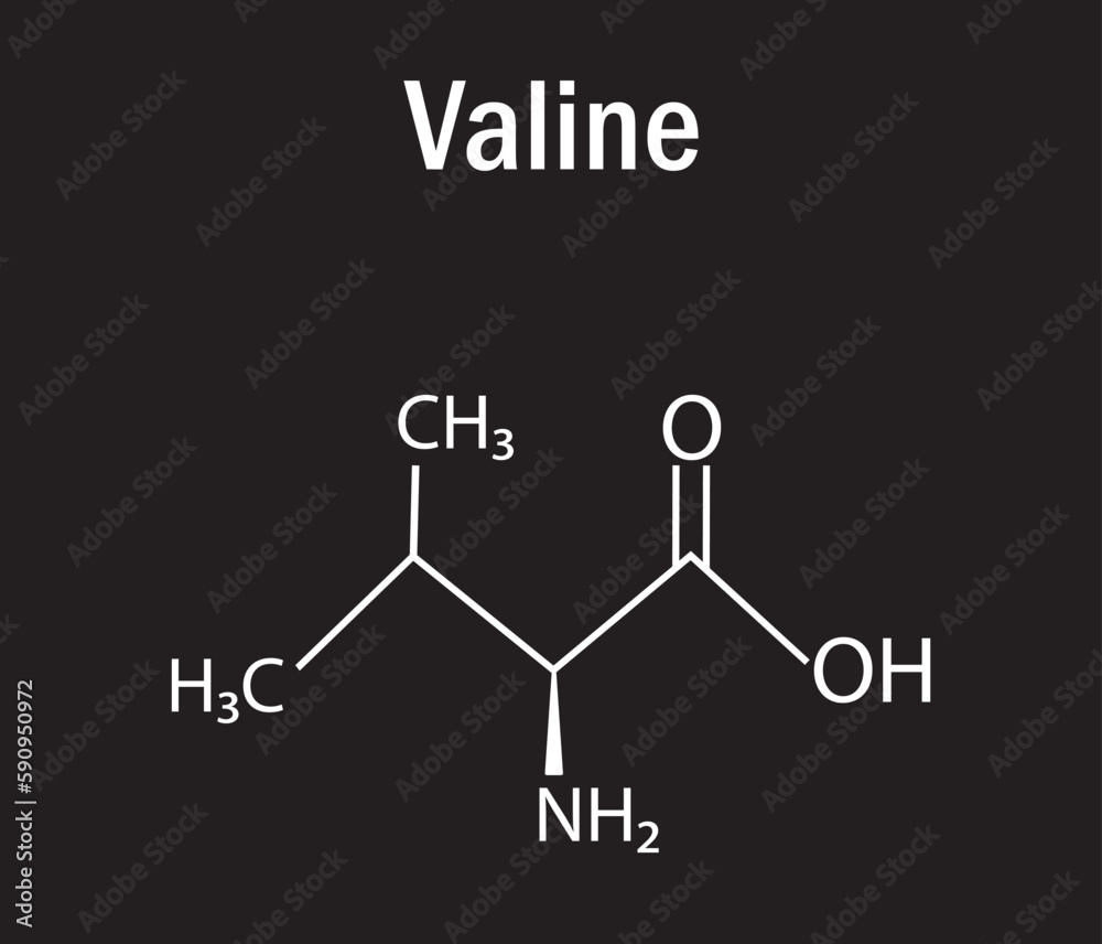 Valine amino acid formula and structure. Chemical molecular formula ...