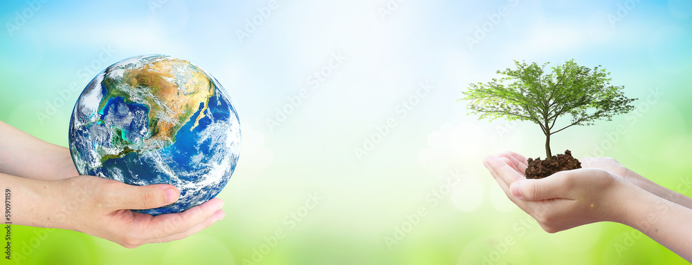 world environment and earth day, Two human hands holding big tree and ...