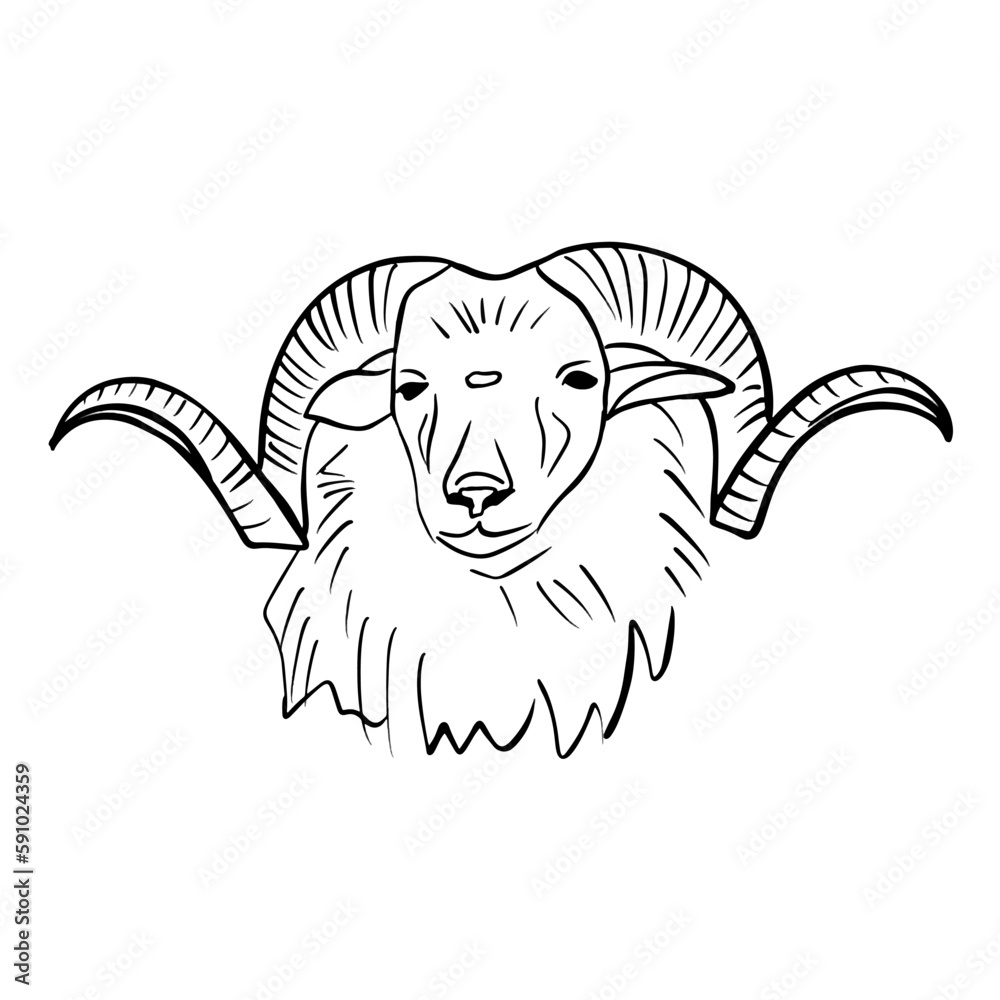Vector illustration hand drawn ram logo, line art black lines Stock ...