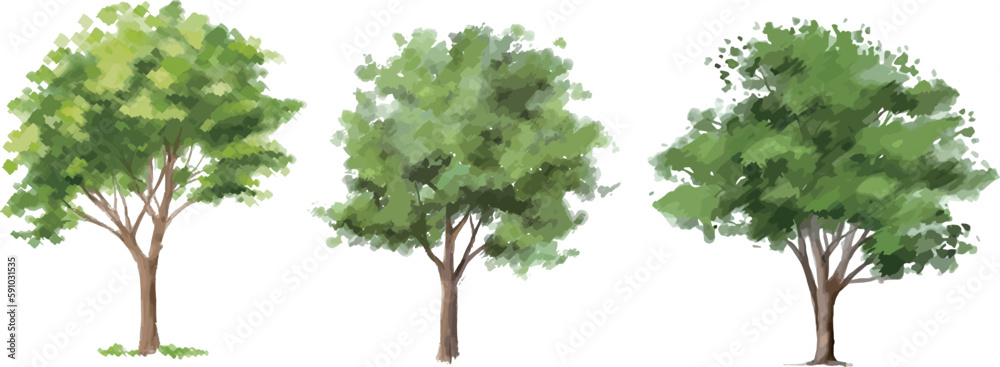Vector watercolor of green tree side view isolated on white background ...