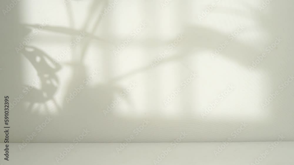 Display room with shadow overlay. blurry leaf and window shadow Stock ...