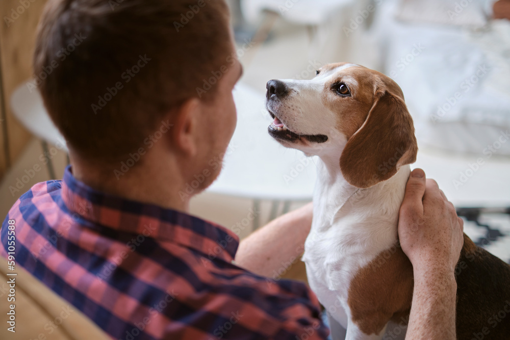 Foto de endearing snapshot of a man hugging his Beagle, conveying the ...