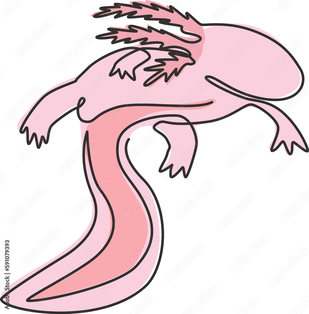 Single continuous line drawing of beauty axolotl for company logo ...