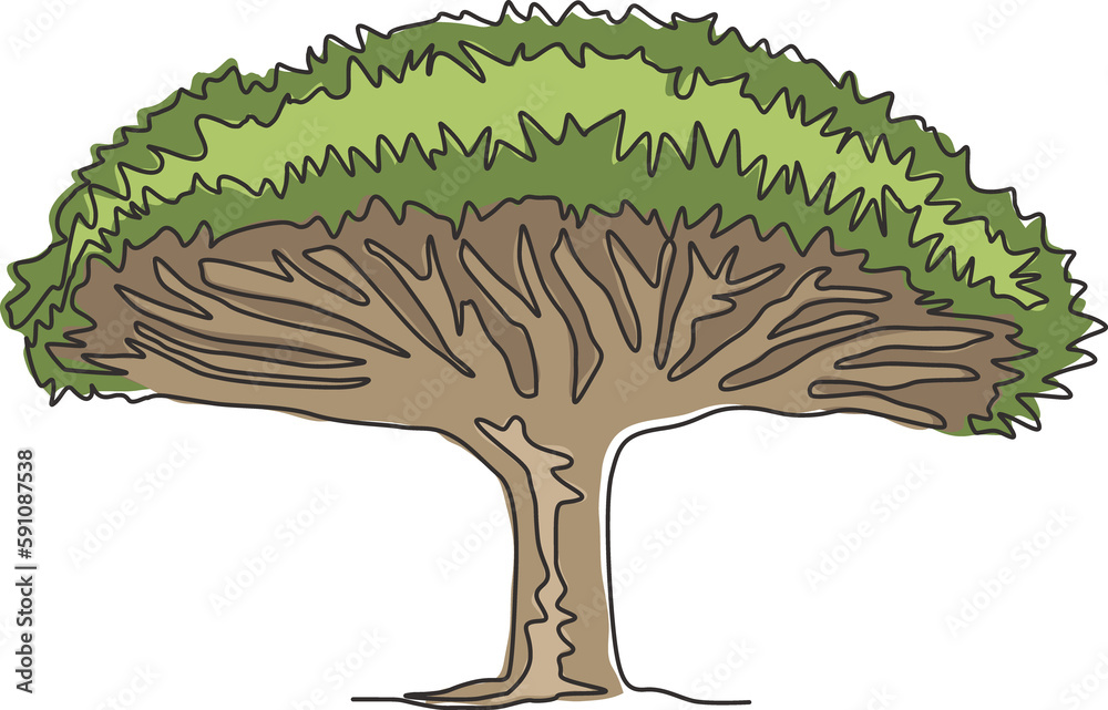 One continuous line drawing beauty dragon blood tree for wall decor ...