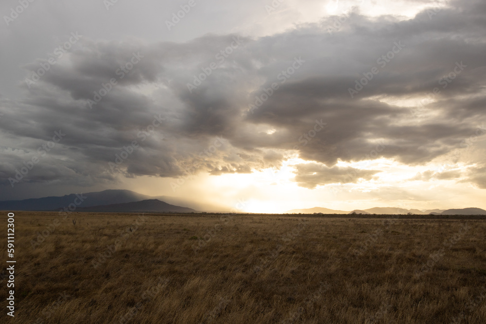 Beautiful landscape in Africa, savanna taken on a safari. beautiful ...