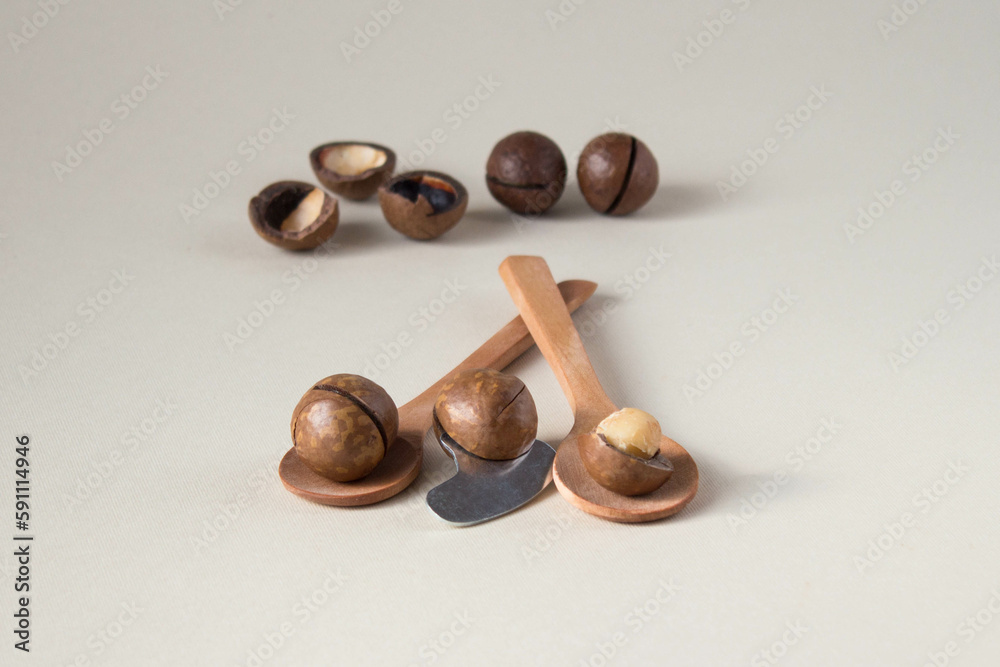 Macadamia nuts with sawn nutshells and with opener key on the wooden ...