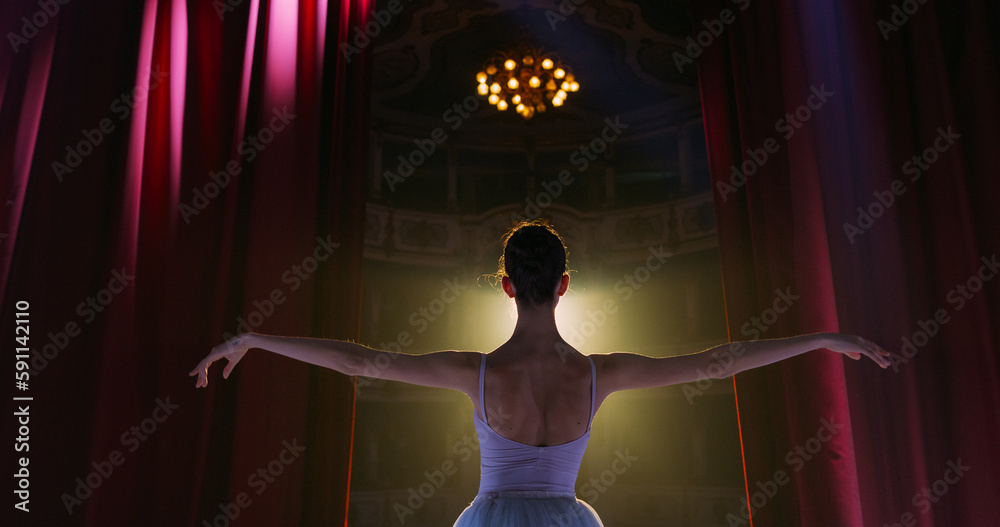 Cinematic Back View of Young Graceful Classical Ballet Female Dancer ...