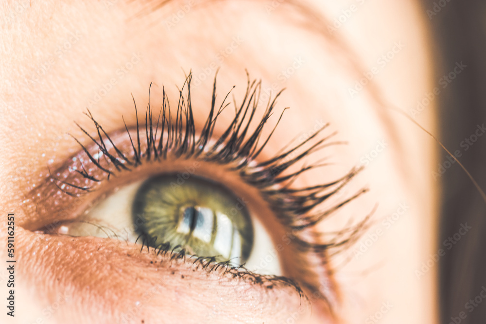 Beautiful green eyes with long lashes. Young woman, a girl is looking ...