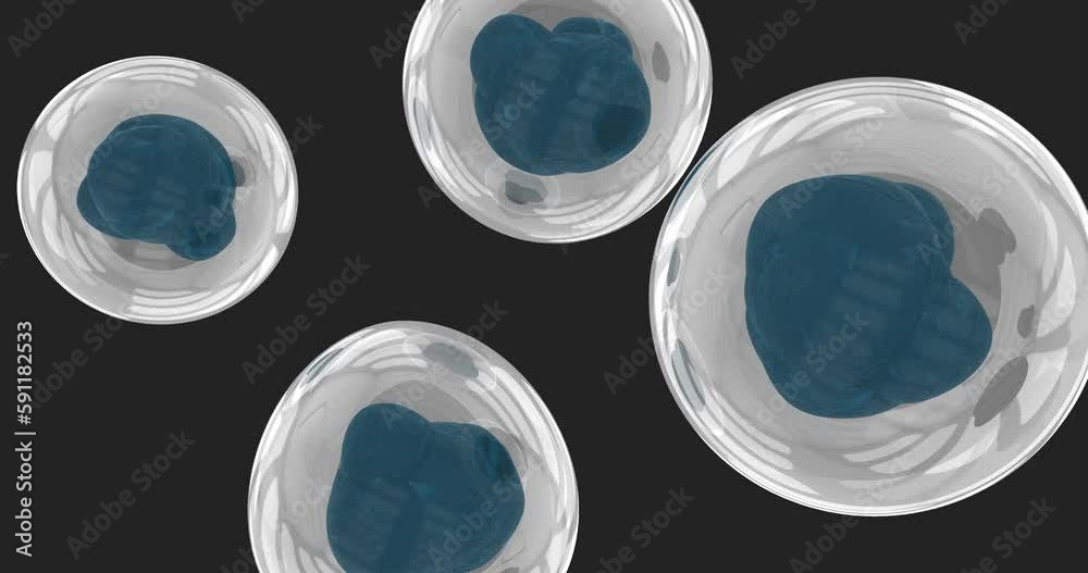 Blue Stem Cells on transparent background Stock Video | Adobe Stock