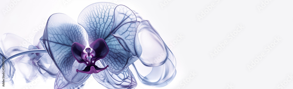 Dynamic effect curves of orchid flower shape in transparent,multicolor ...