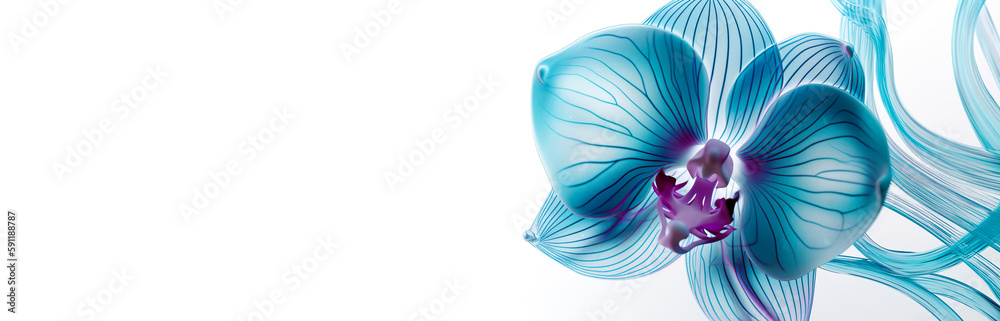 Dynamic effect curves of orchid flower shape in transparent,multicolor ...