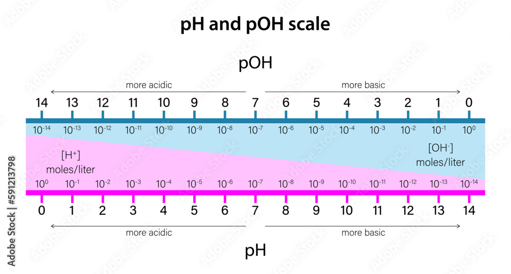 Poster pH and pOH scale – Wall Art | UkPosters