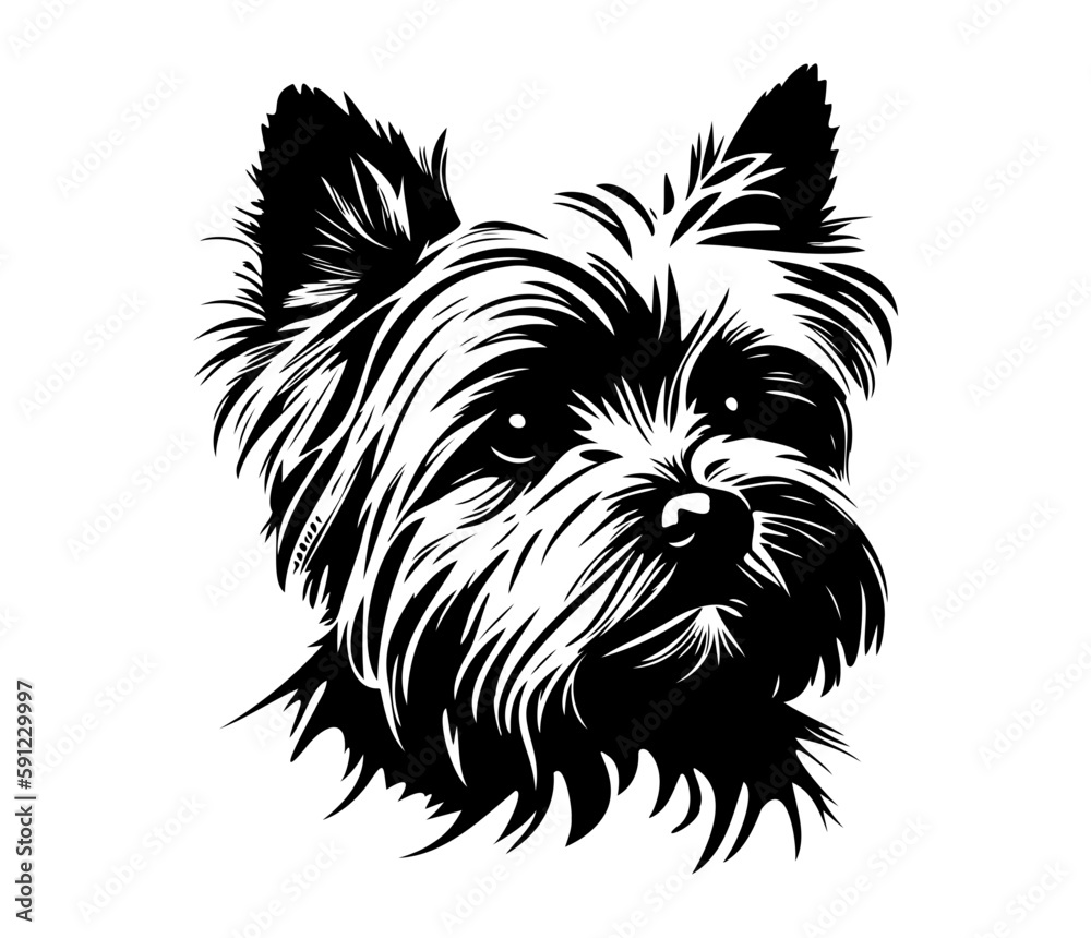Yorkshire Terrier, Silhouettes Dog Face SVG, black and white Yorkshire ...