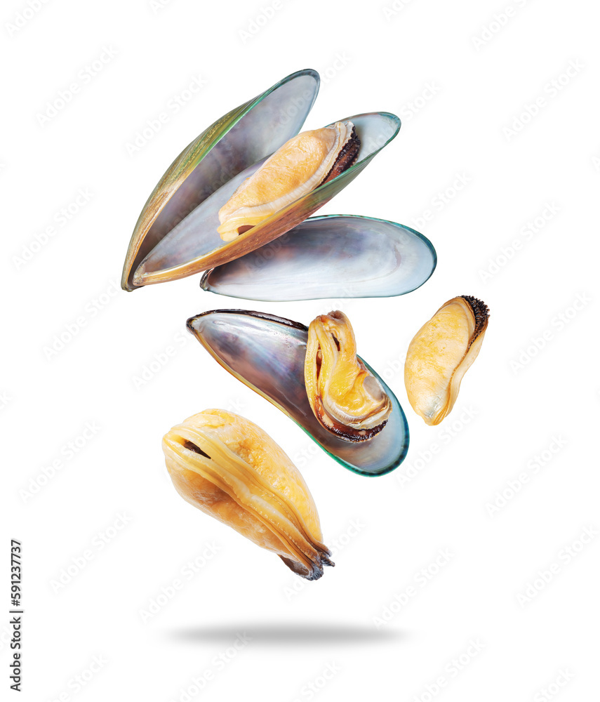 Mussels with shells in the air on a transparent background Stock Photo ...