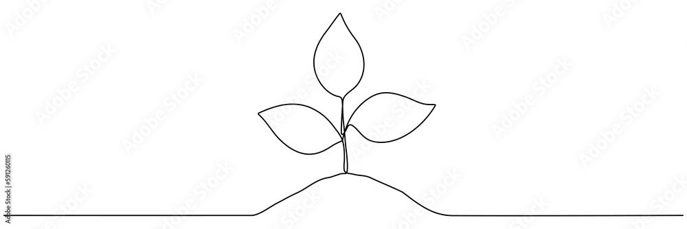 Leaves sprout continuous line drawing. Plant branch growth one line art ...