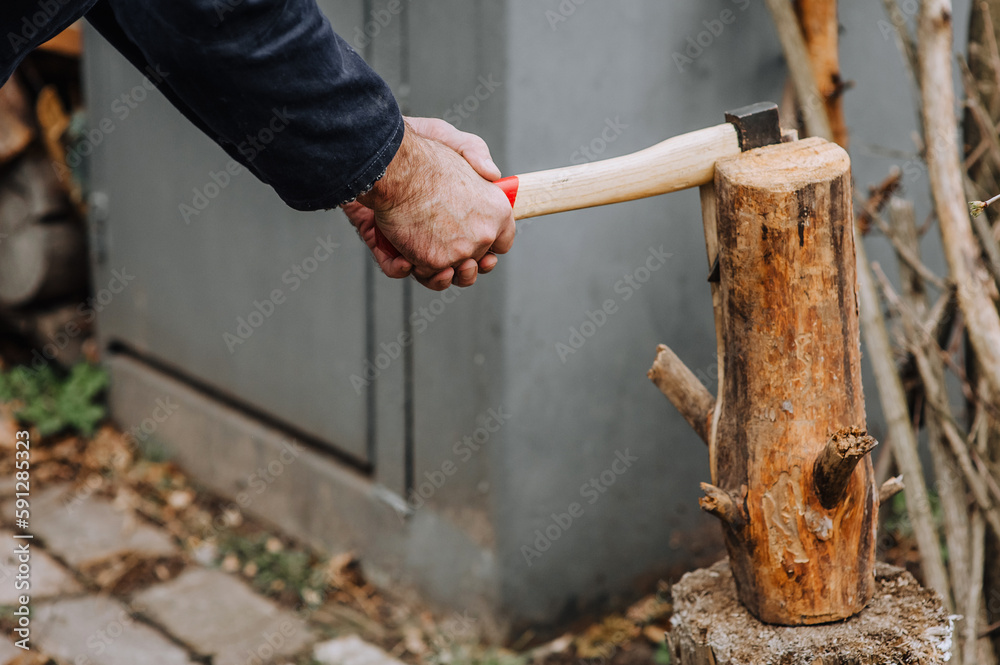 Strong man, lumberjack, worker chops firewood, logs, trees with an ax ...