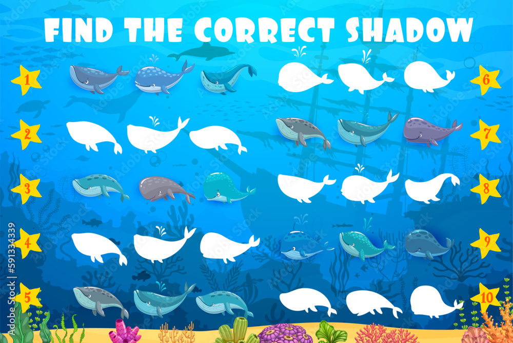 Vetor do Stock: Find the correct shadow of whale, cachalot and sperm ...