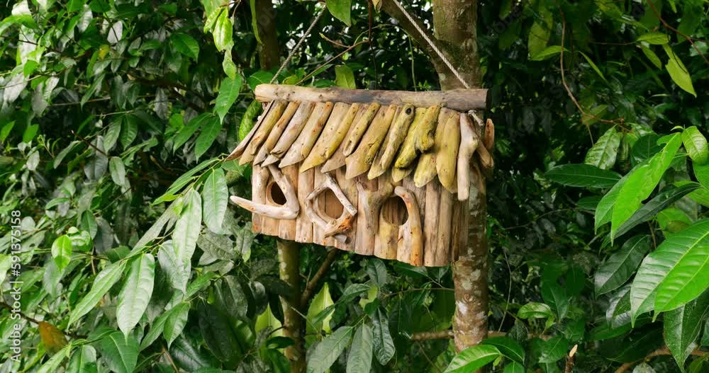 Bird house made from wooden sticks hanging in green leaves, ornamental ...