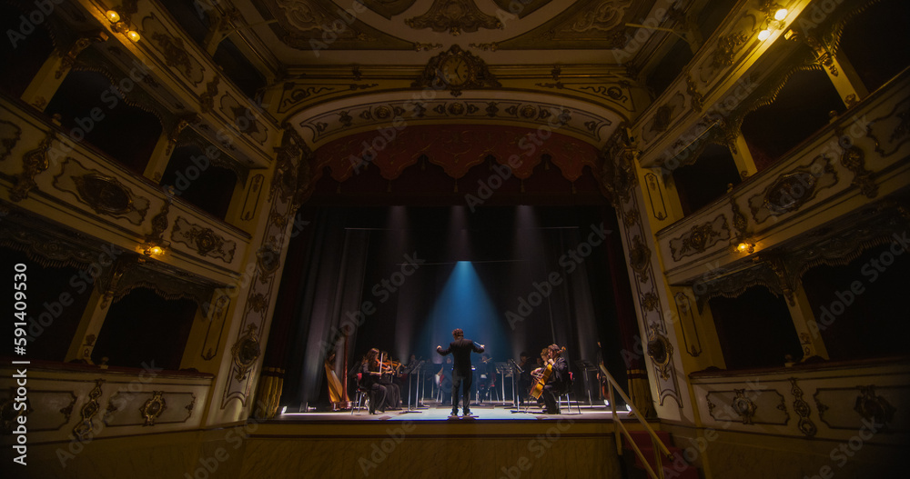 Wide shot of an Orchestra on a Classic Theatre Stage: Professional ...