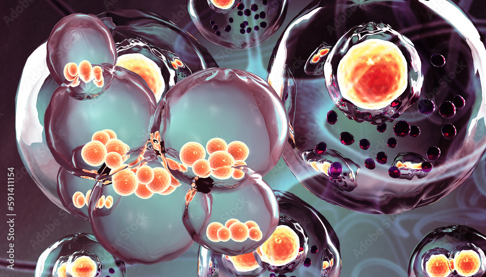 Human cells anatomy background. 3d illustration. Stock Illustration ...
