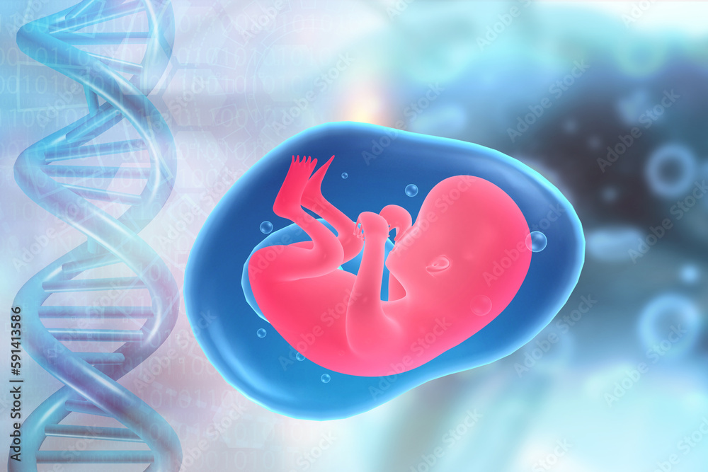Fetus in womb. Fetus in dna background. 3d illustration. Stock ...