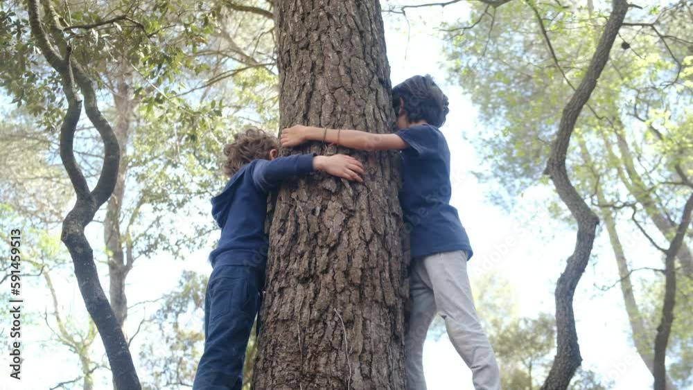Happy childs hugs a tree with his hands. Forest environment. Man's love ...