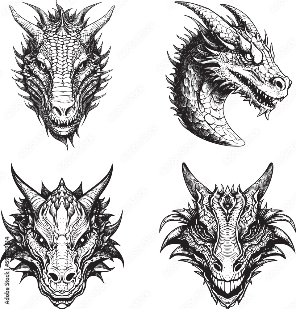 front view of a Wyvern head, vector art black on white background Stock ...