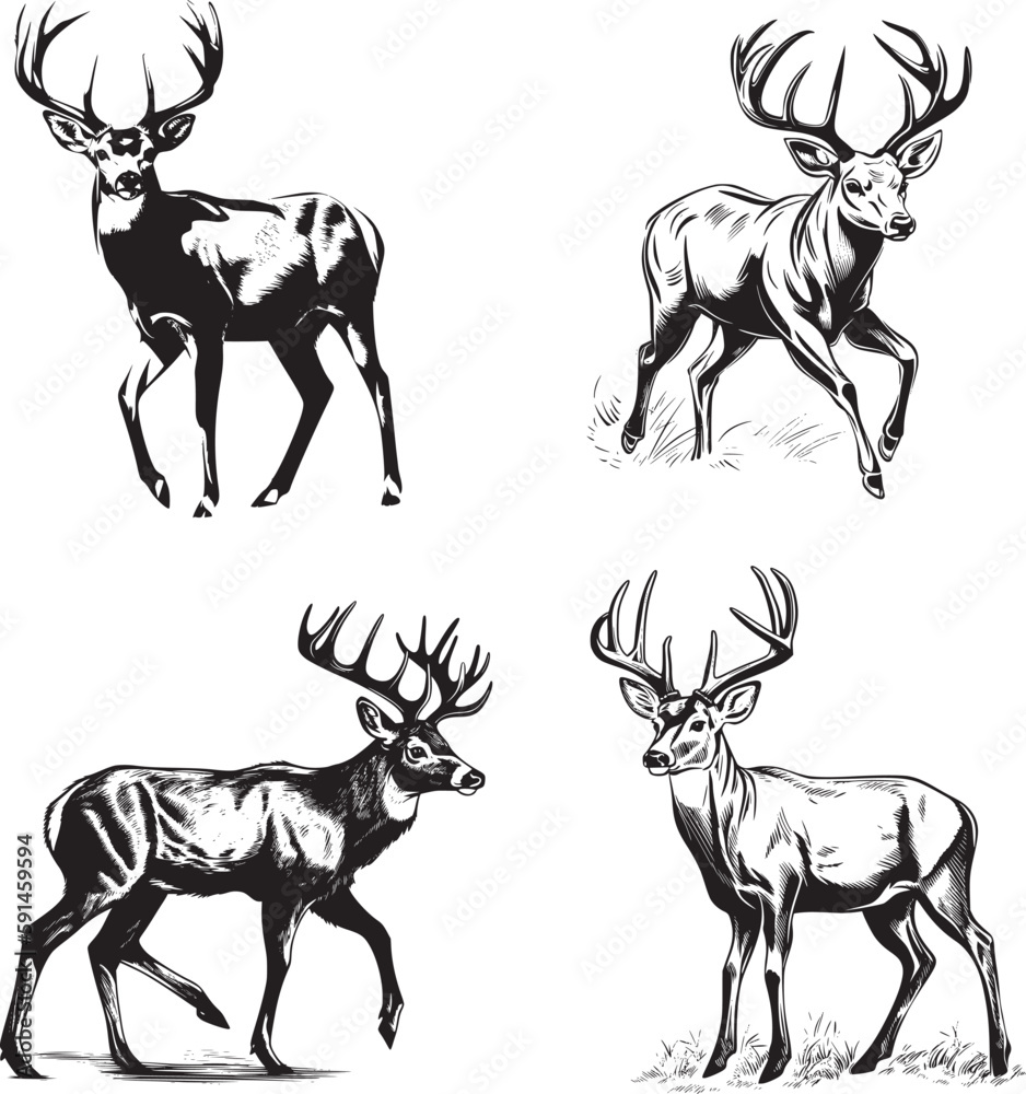 Whitetail Buck, dynamic pose simple graphic, cartoon vector art ...