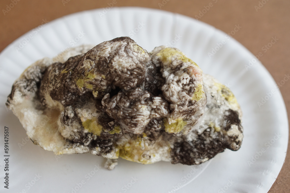 Closeup sticky rice covered with fungus, bacteria and germs, spoiled ...