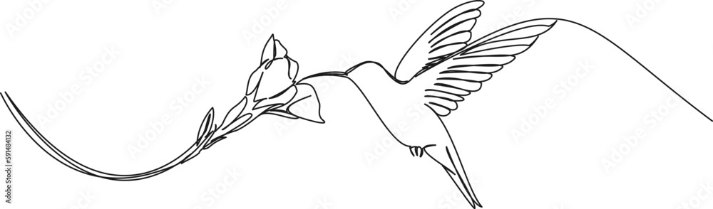 continuous single line drawing of hummingbird hovering while feeding at ...