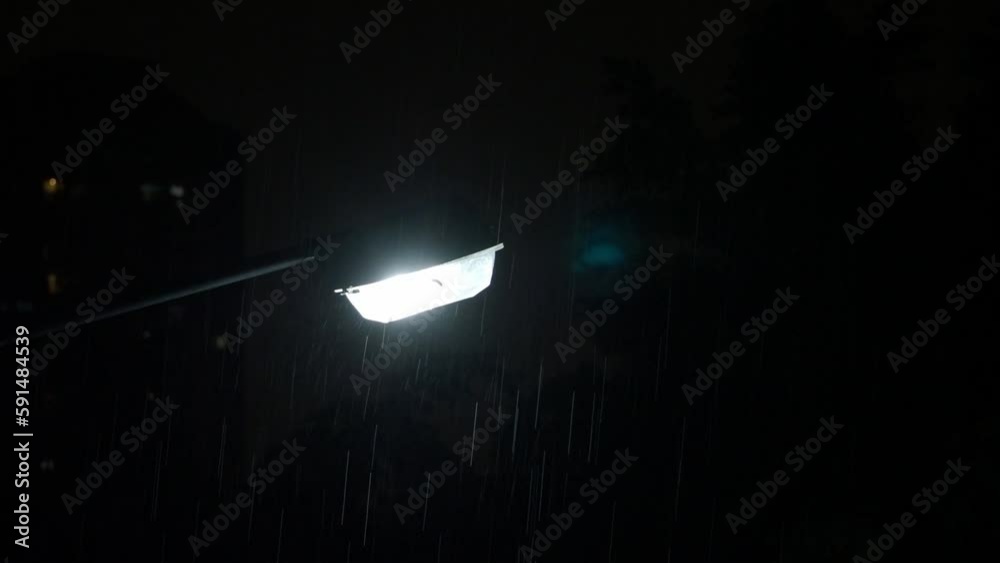 Raining Night and street light. 4k footage Rain Drops Falling in ...