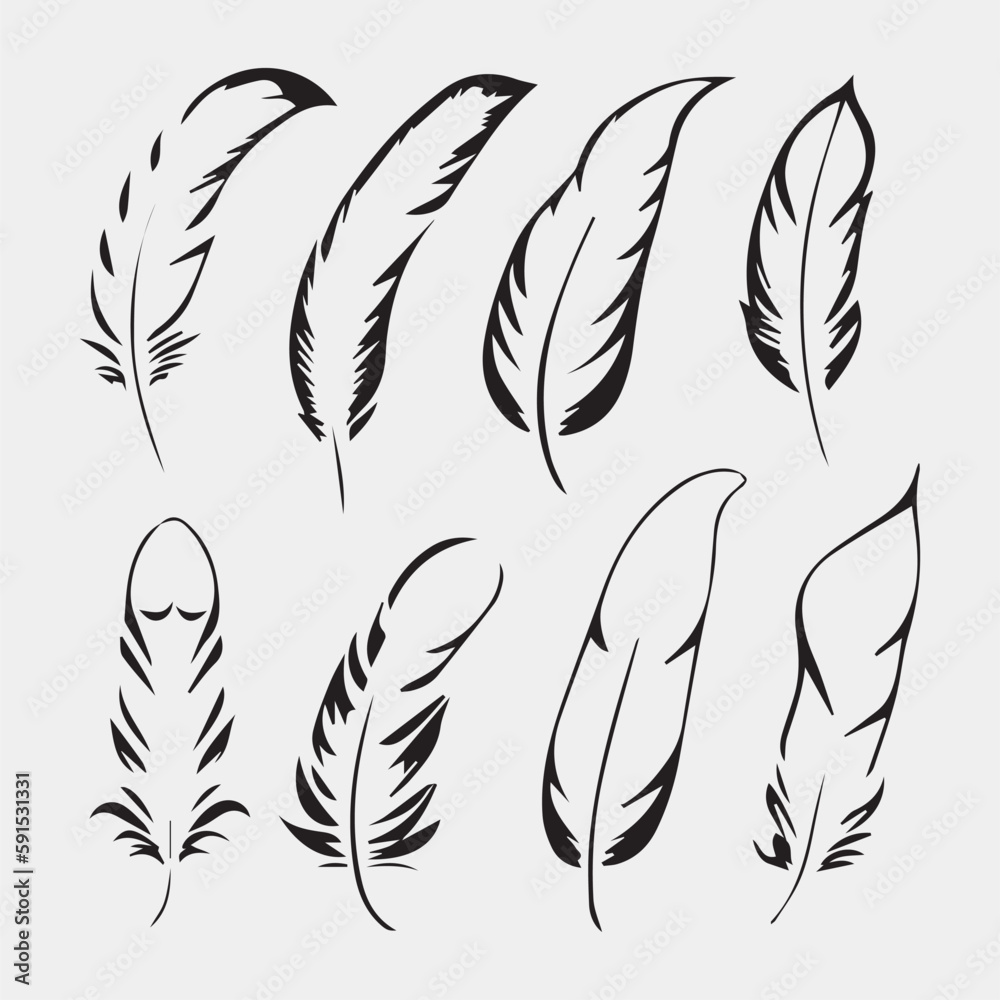 set of feathers vector design isolated on white Stock Vector | Adobe Stock