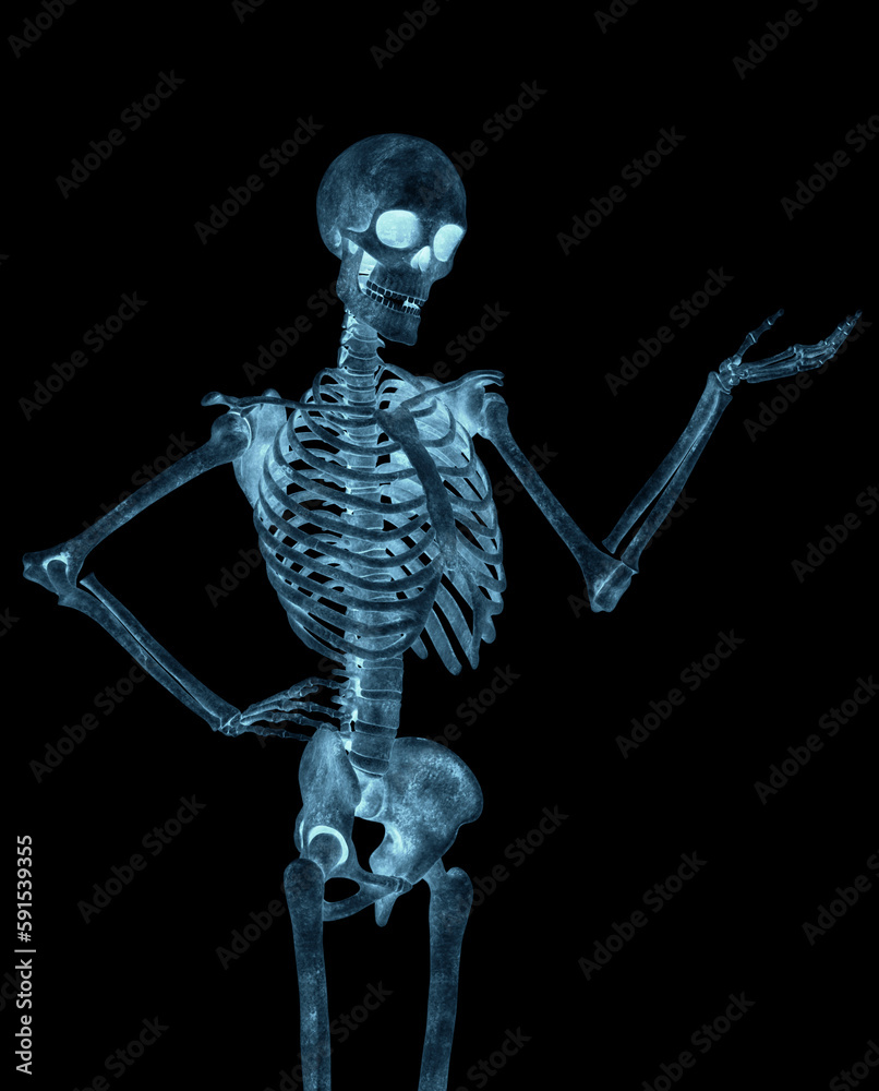 skeleton in presenting pose on close up view Stock Illustration | Adobe ...