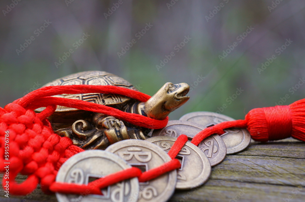 Foto de Turtle figurine with feng shui coins. An esoteric symbol ...