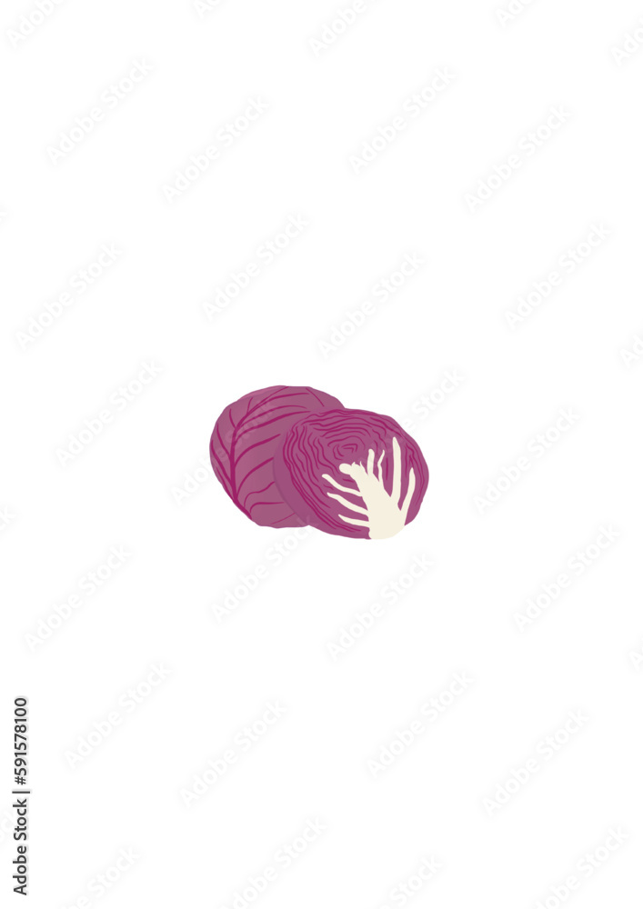 llustration of a whole red cabbage and a halved red cabbage. Minimalist ...