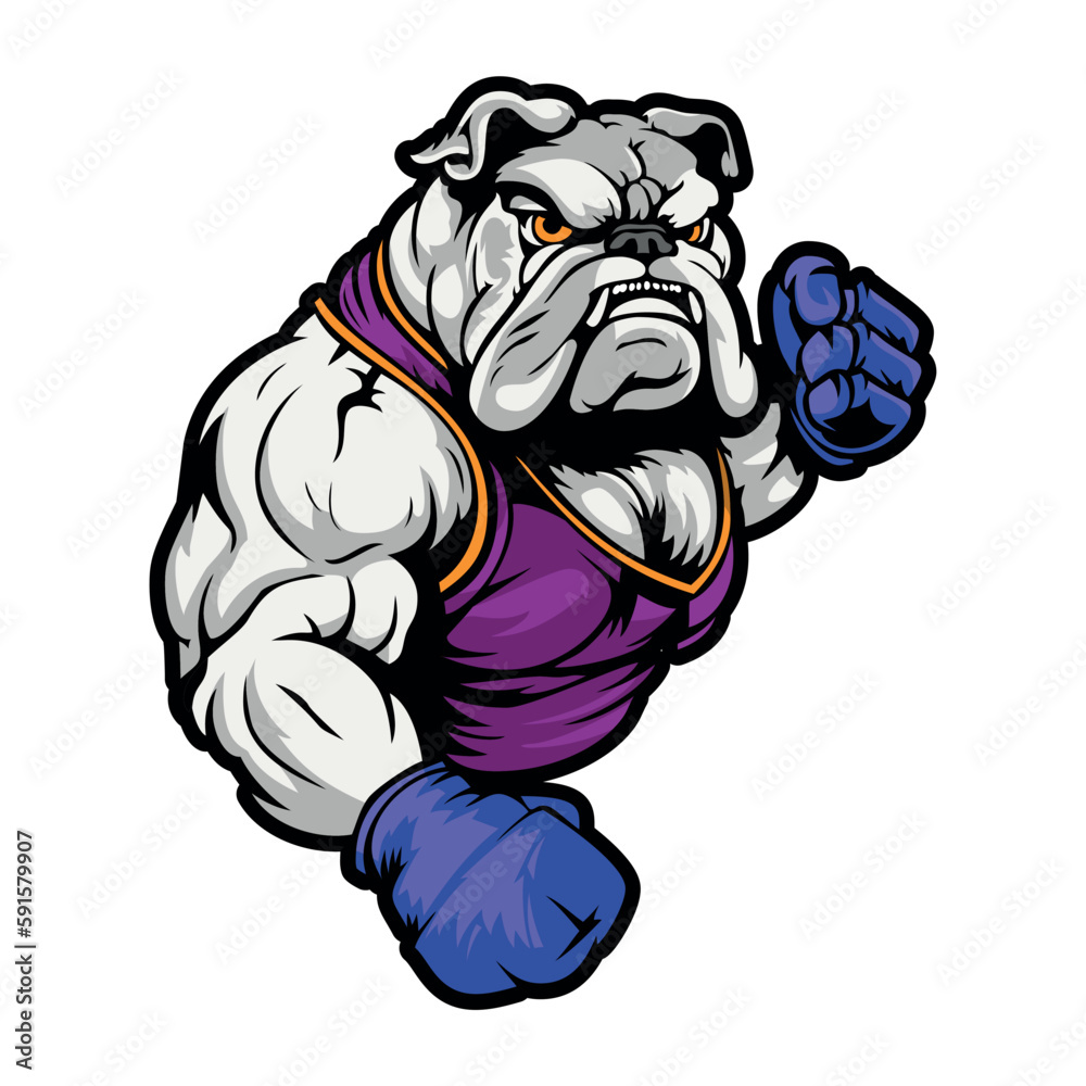 Muscular bulldog mascot wearing boxing gloves getting ready for a fight ...