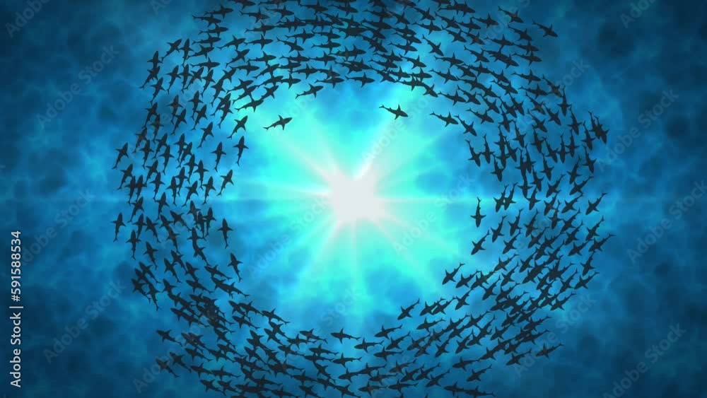 School of fish swimming in a circle. Shark fish swimming in round Stock ...