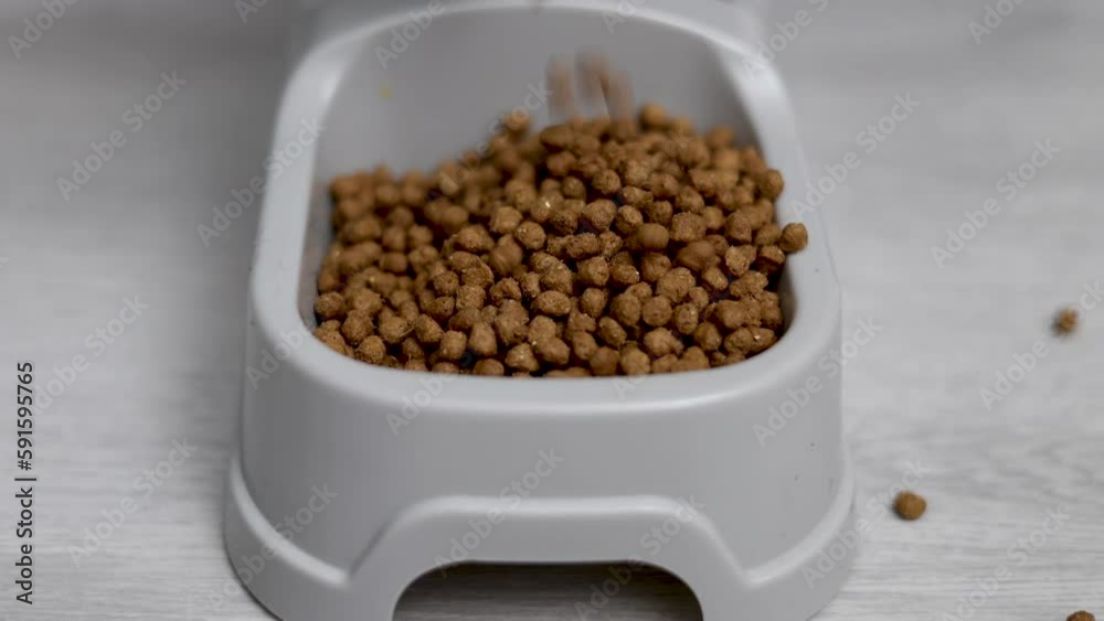 falling dry cat food into kitty bowl on floor.small pieces pour from ...