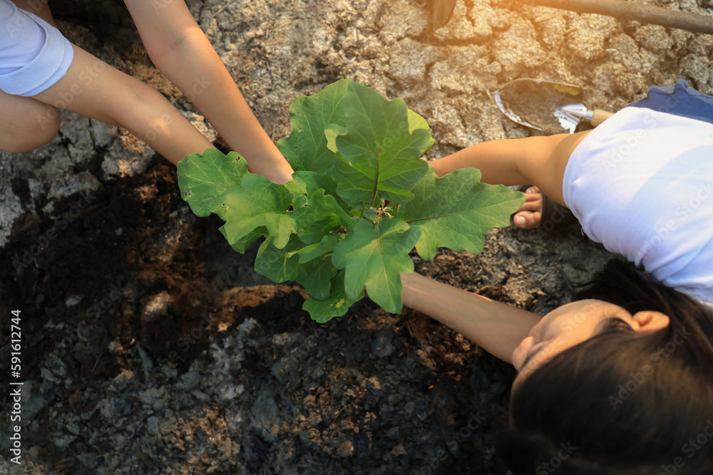 Mother and Daughter help together grow the three. CSR volunteer plant ...